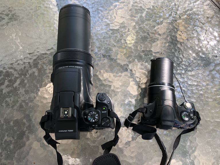 Nikon P1000 - My Newest Toy | Winging It