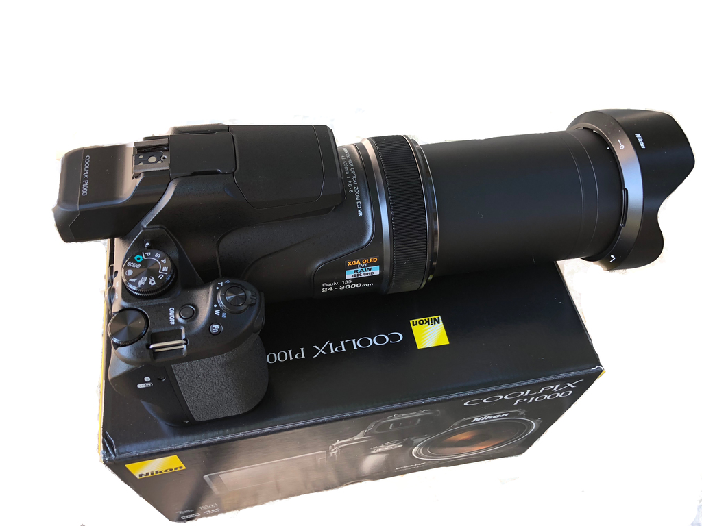 Nikon P1000 - My Newest Toy | Winging It